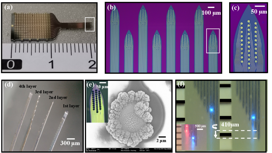 ACS Sensors 可驱动高密度光电集成神经探针阵列用于多脑区光遗传应用